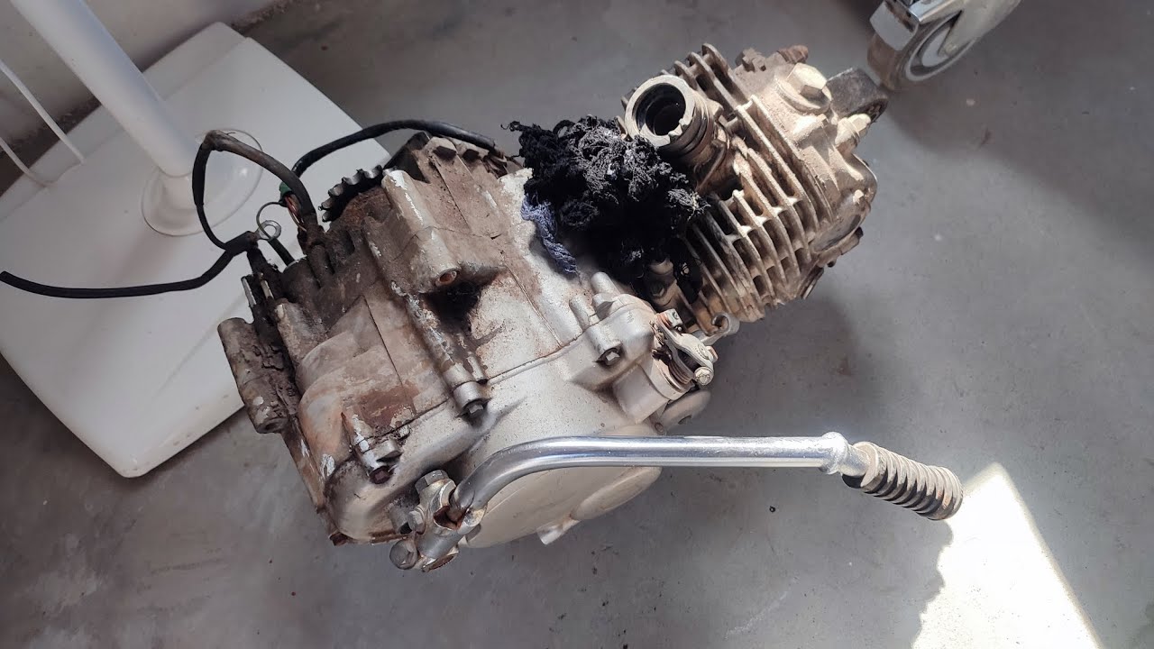 Engine Unveiling Anatomy and physiology v3.0 - YouTube