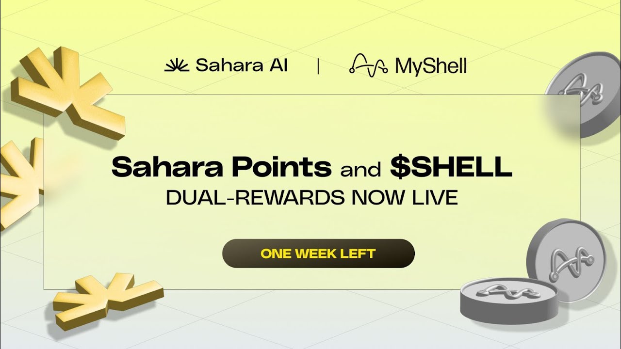 Sahara AI Airdrop Bitgate wallete - YouTube