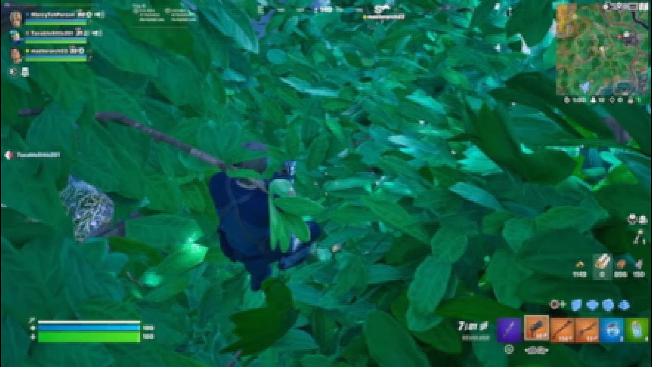 Funnee Fortnite Funnee Fortnite - YouTube