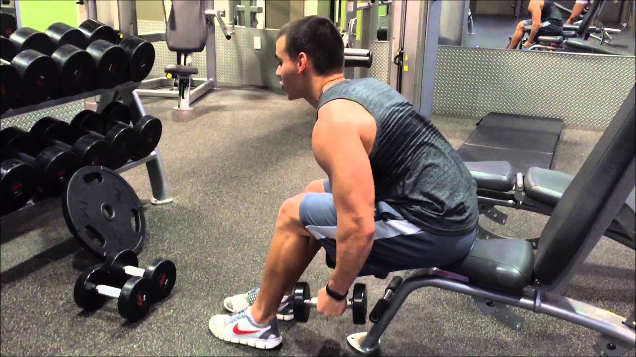 Rear Delt Dumbbell Flyes - YouTube