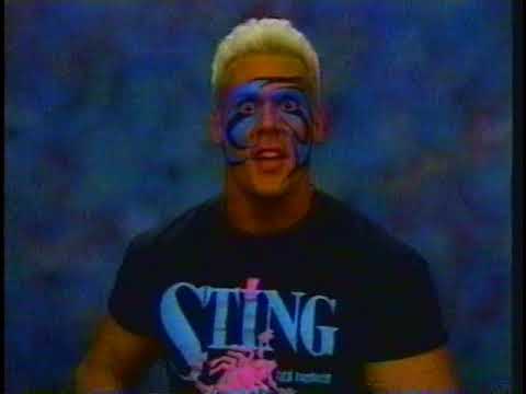 Sting Promo [1990-05-12] - YouTube