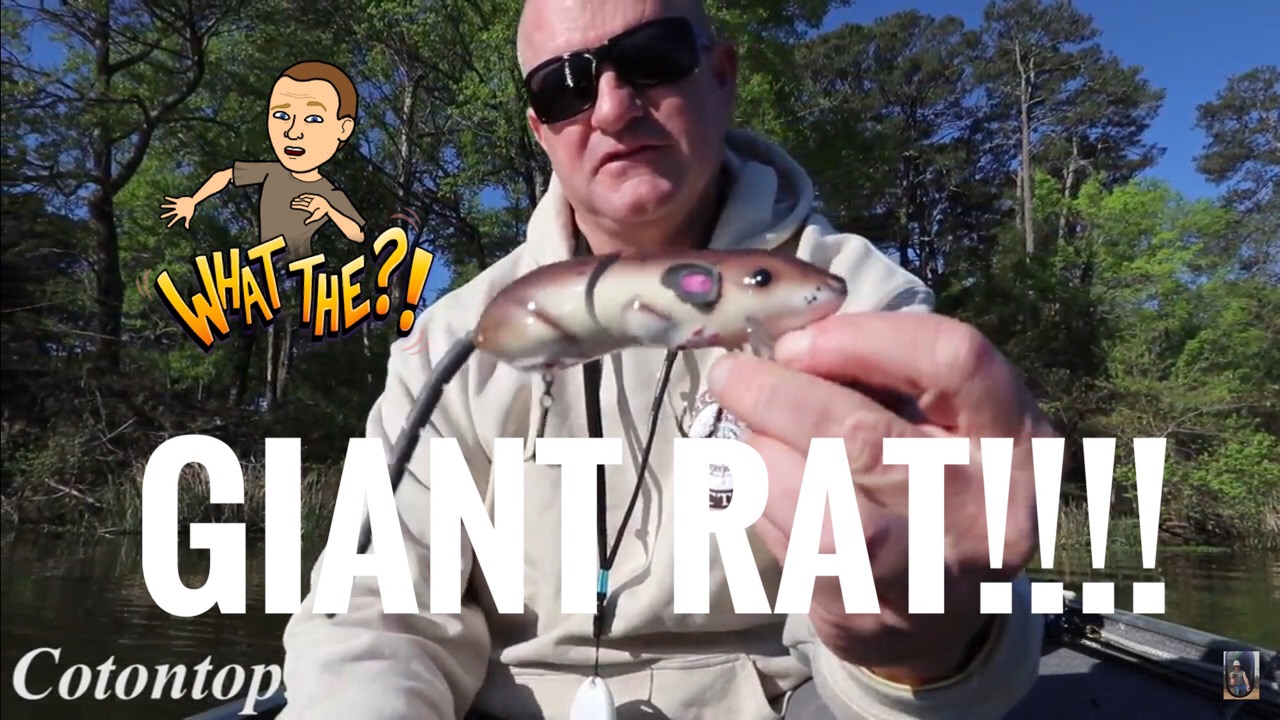 Fishing with a giant RAT and testing audio/video! - YouTube