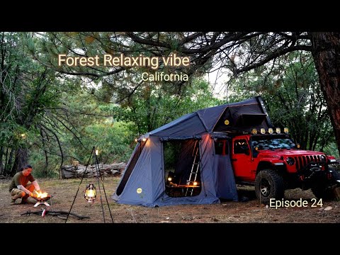 Epic Solo Forest Camping Adventure: Relaxing ASMR & Annex Setup - YouTube