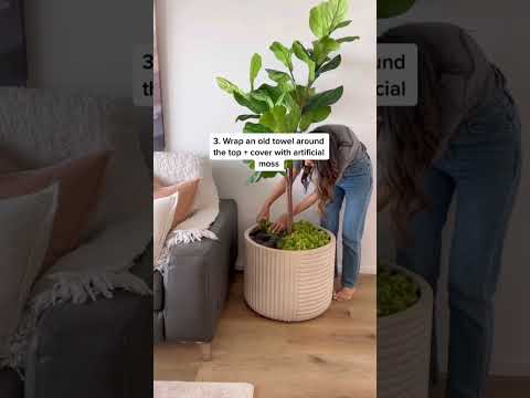 How To Make Fake Outdoor Plants Look Real