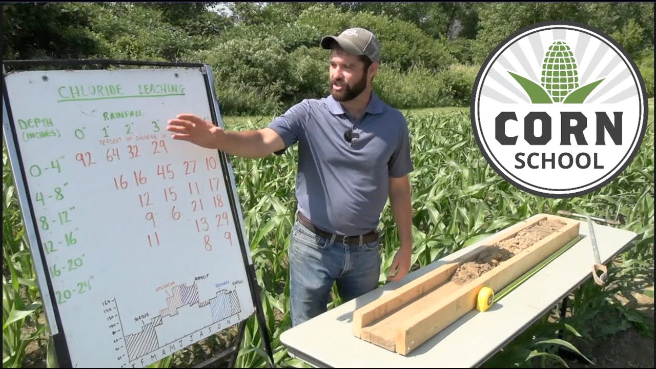Corn School: How July rains impact nitrogen leaching - YouTube