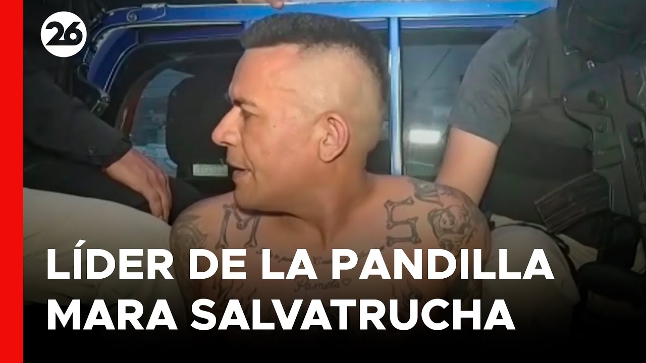 EL SALVADOR | Peligroso líder de la Mara Salvatrucha fue capturado y ...
