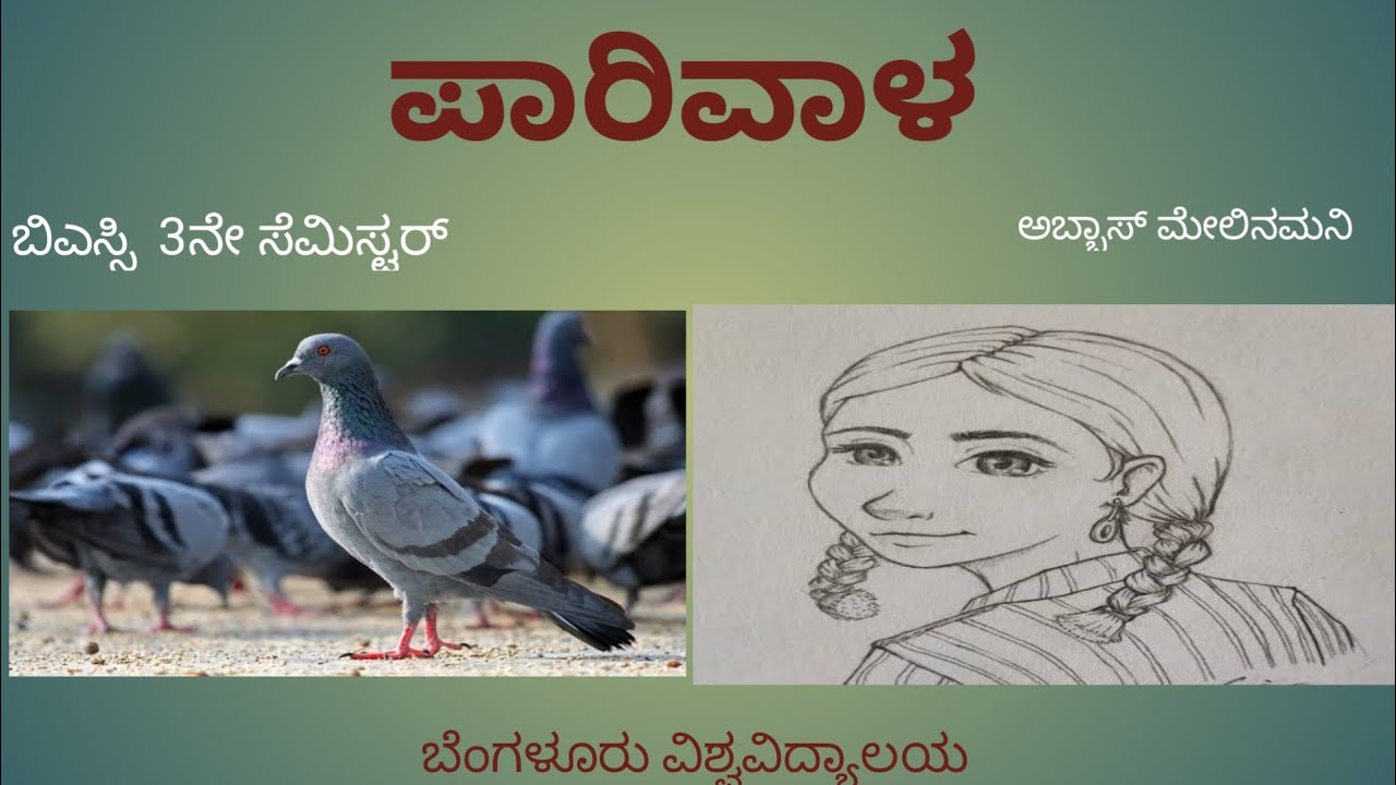 # Bsc 3rd sem #Parivala#ಪಾರಿವಾಳ #Banglore University#NEP - YouTube