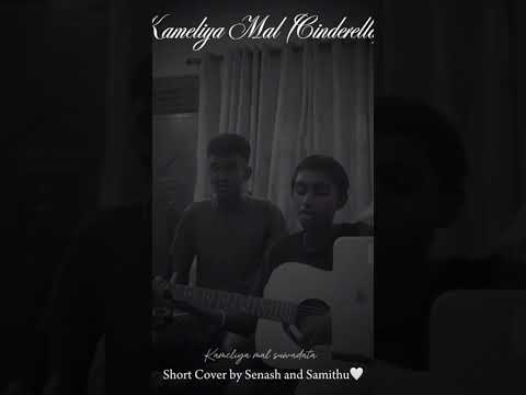 Kameliya Mal Suwadata (Cinderella) cover by Senash Perera and Samithu ...