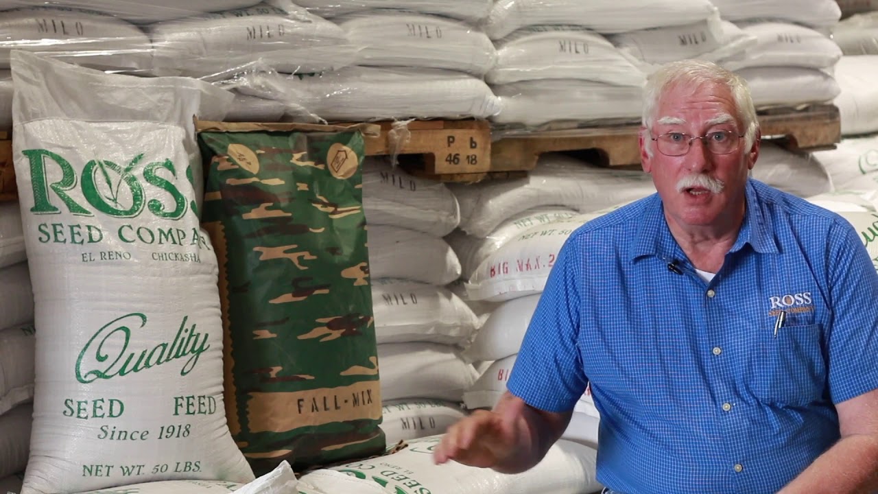 Soil Testing + Other Seed Performance Factors (Steve) - YouTube
