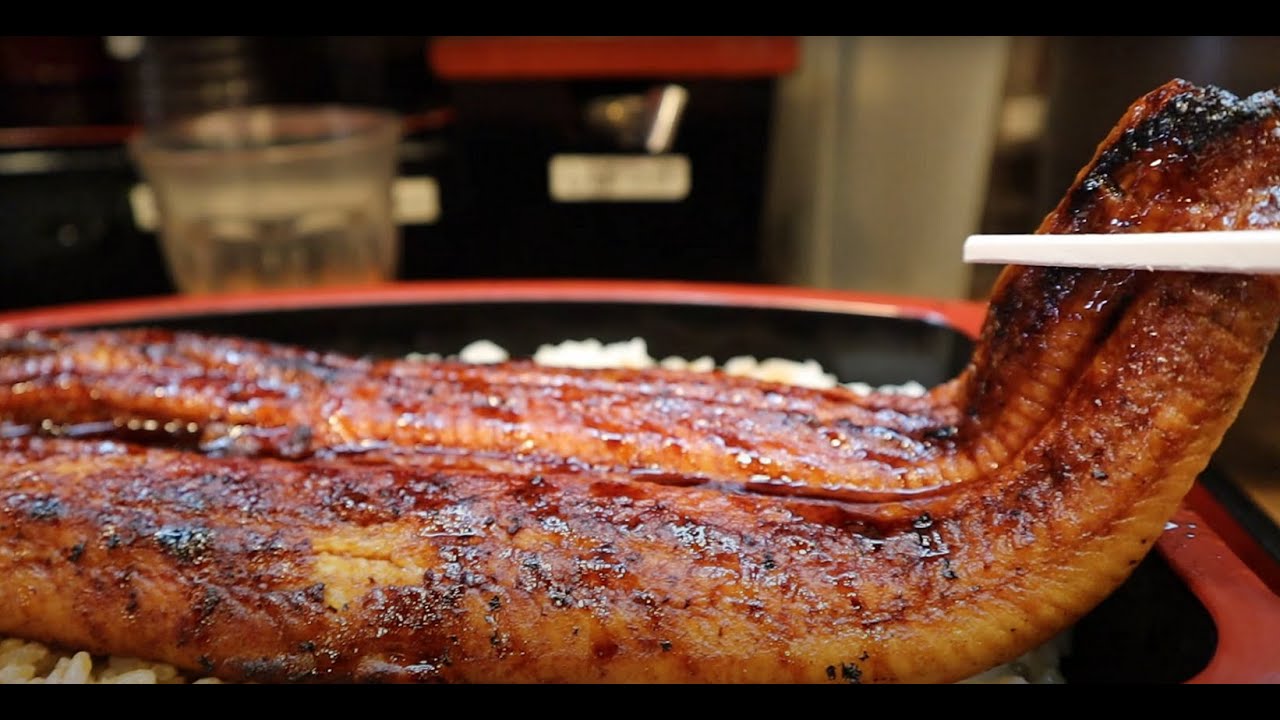 ¥2500 Surprise Weight Unadon/Unagidon in Japan（UNAGI Japanese food ...