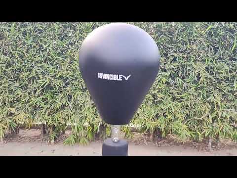 Invincible Adjustable Boxing Speed Ball Installation Video || BB3728 Tutorial Video | #boxing #sport