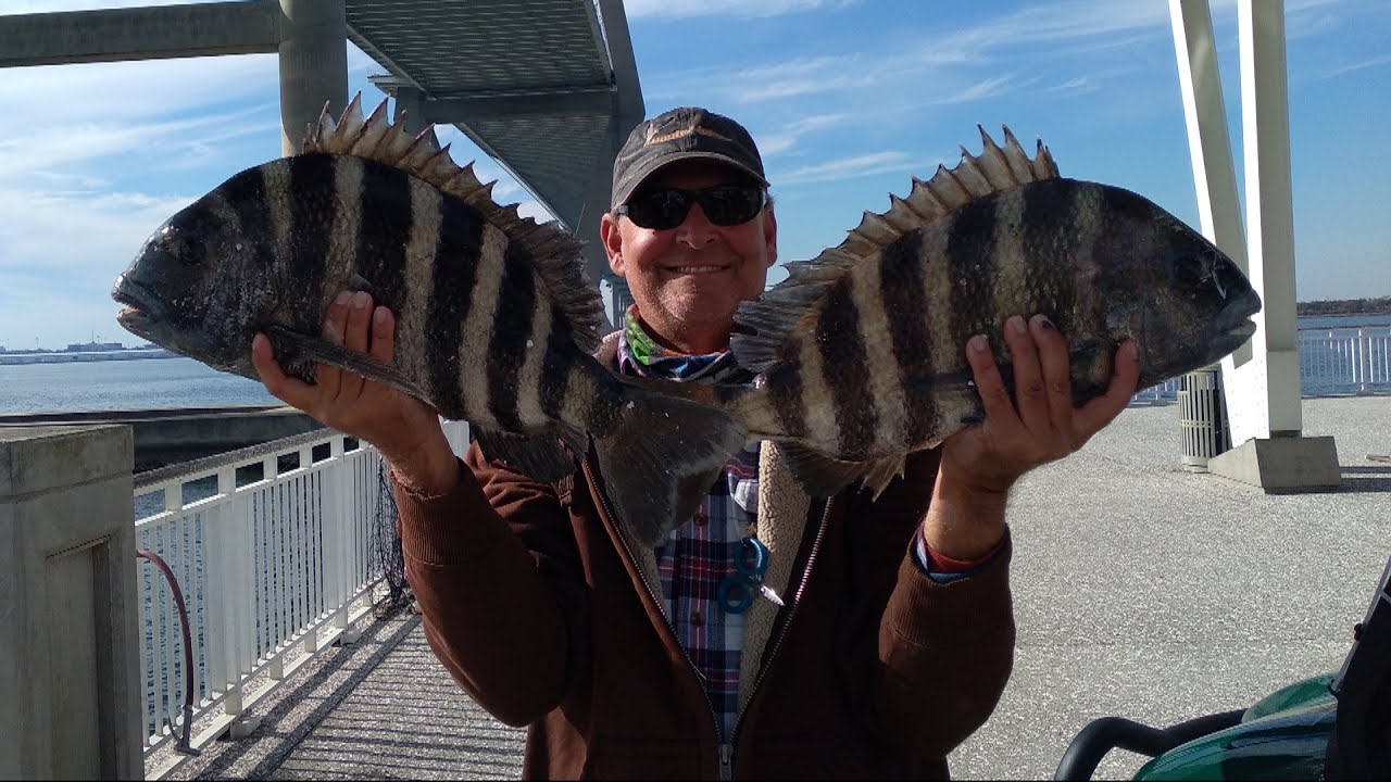 Inshore Fishing Charleston SC with Jiggin' Jerry, Dec. 2021 - YouTube