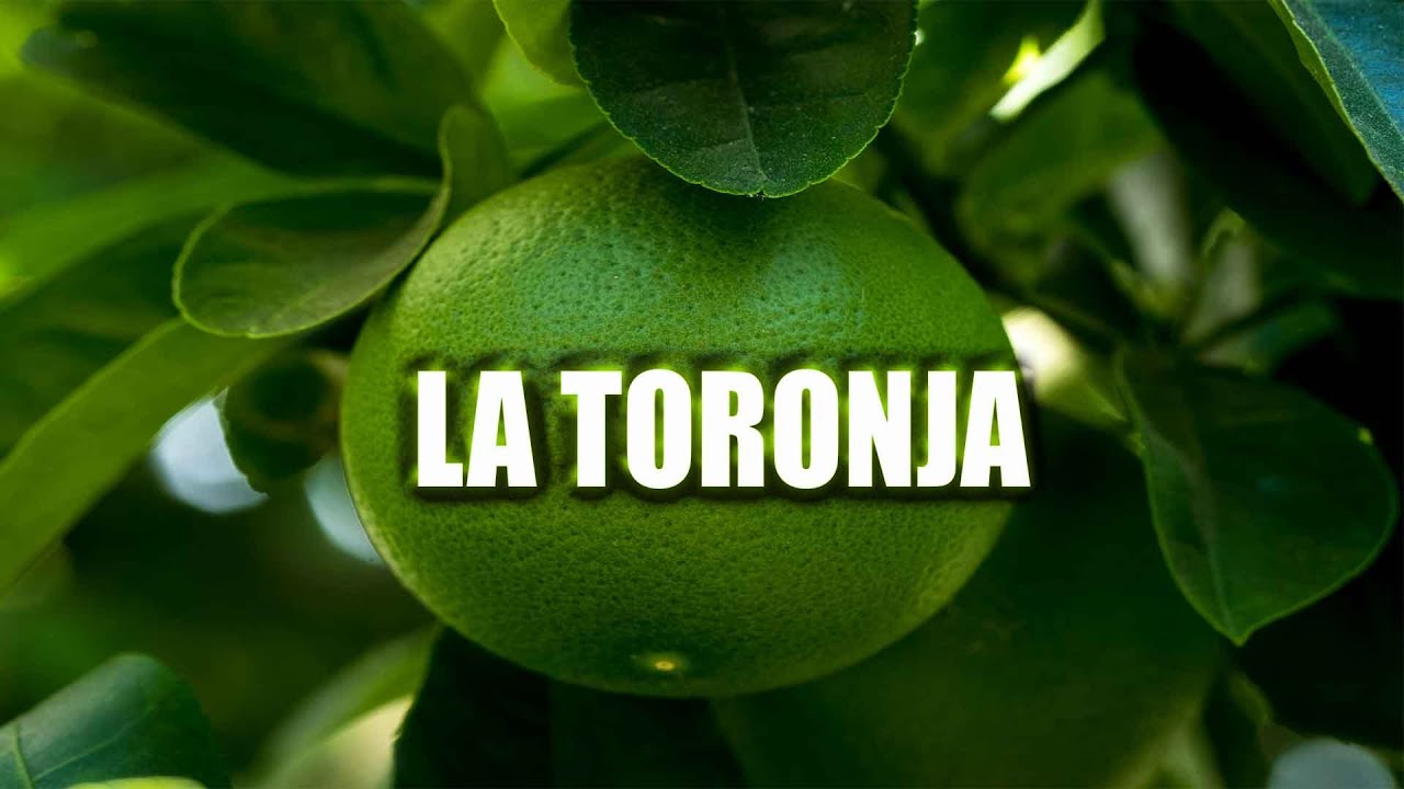 14 BENEFICIOS Y PROPIEDADES DEL TORONJA - YouTube