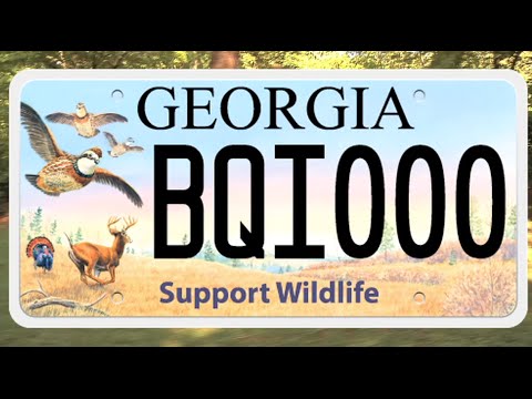 Specialty Tags Help Support Georgia DNR Wildlife Resources Division ...