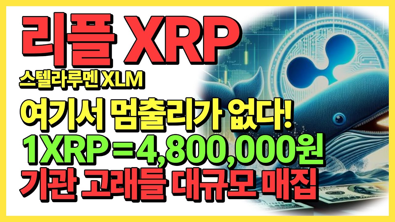 리ν μ λ§π― μμ€μνΌ λμμ λ΅πμ₯λ΄νλλ° μ¬κΈ°κΉμ§λ κ°λλ€π€κΈ°κ΄ κ³ λλ€ λκ·λͺ¨ λ§€μ§π―리ν λΉνΈμ½μΈ μλ μ΄μ΄ μ¨λνμ΄λΈμ€ μμ€ν°νΌ Youtube