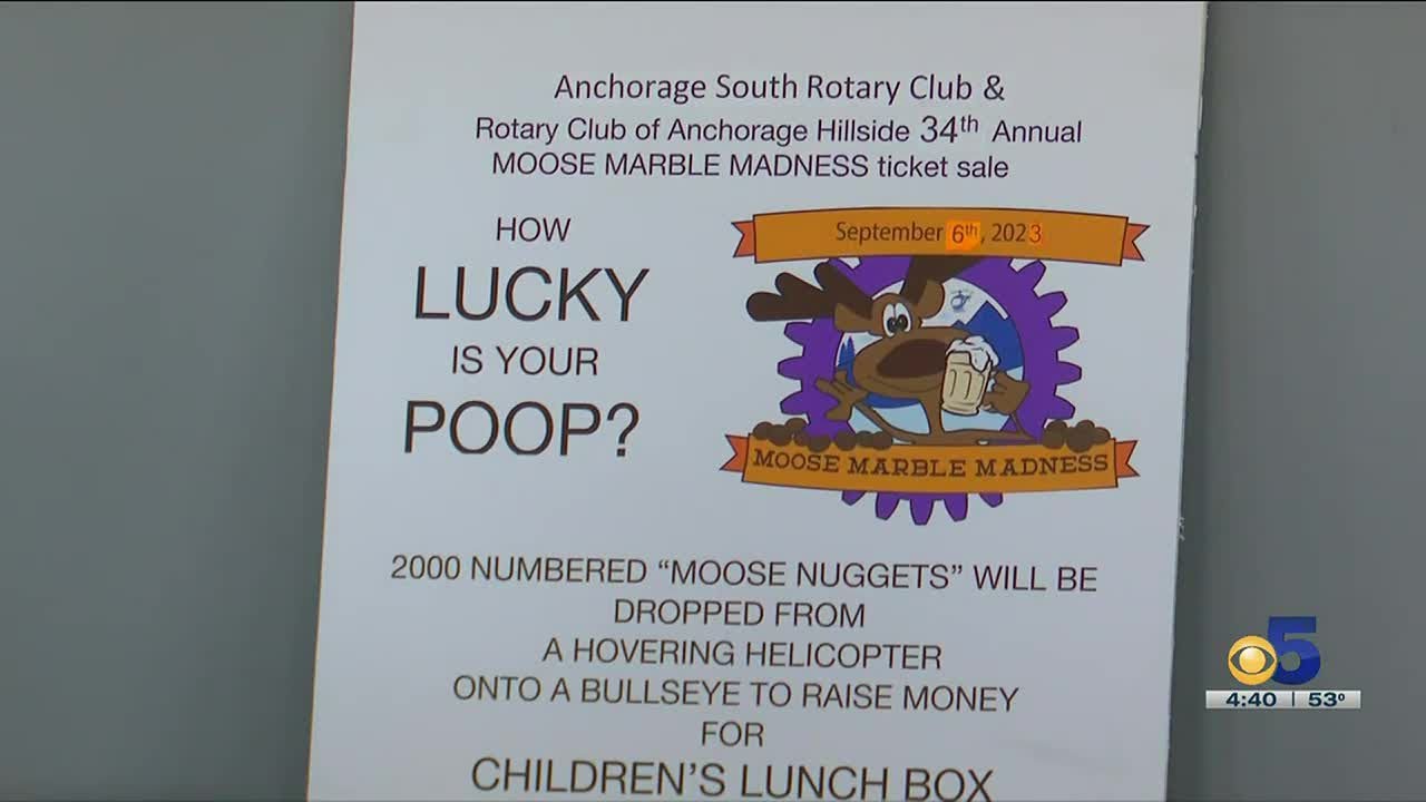 Moose poop magic! Rotarians Dropping moose marbles from a helicopter ...