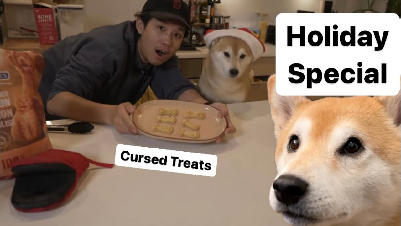 Shiba Learns to Cook - Kylo Holiday Special - YouTube