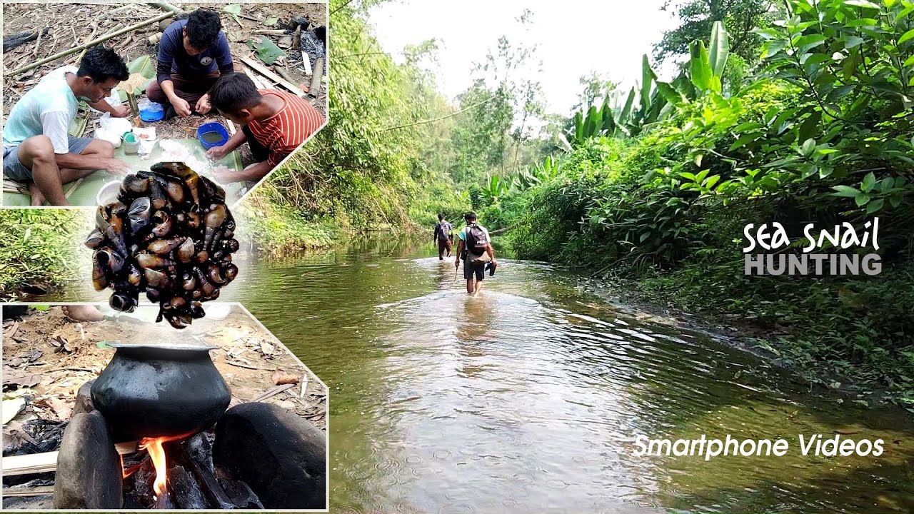 SEA SNAIL HUNTING(Mizoram)--Smartphone Videos - YouTube