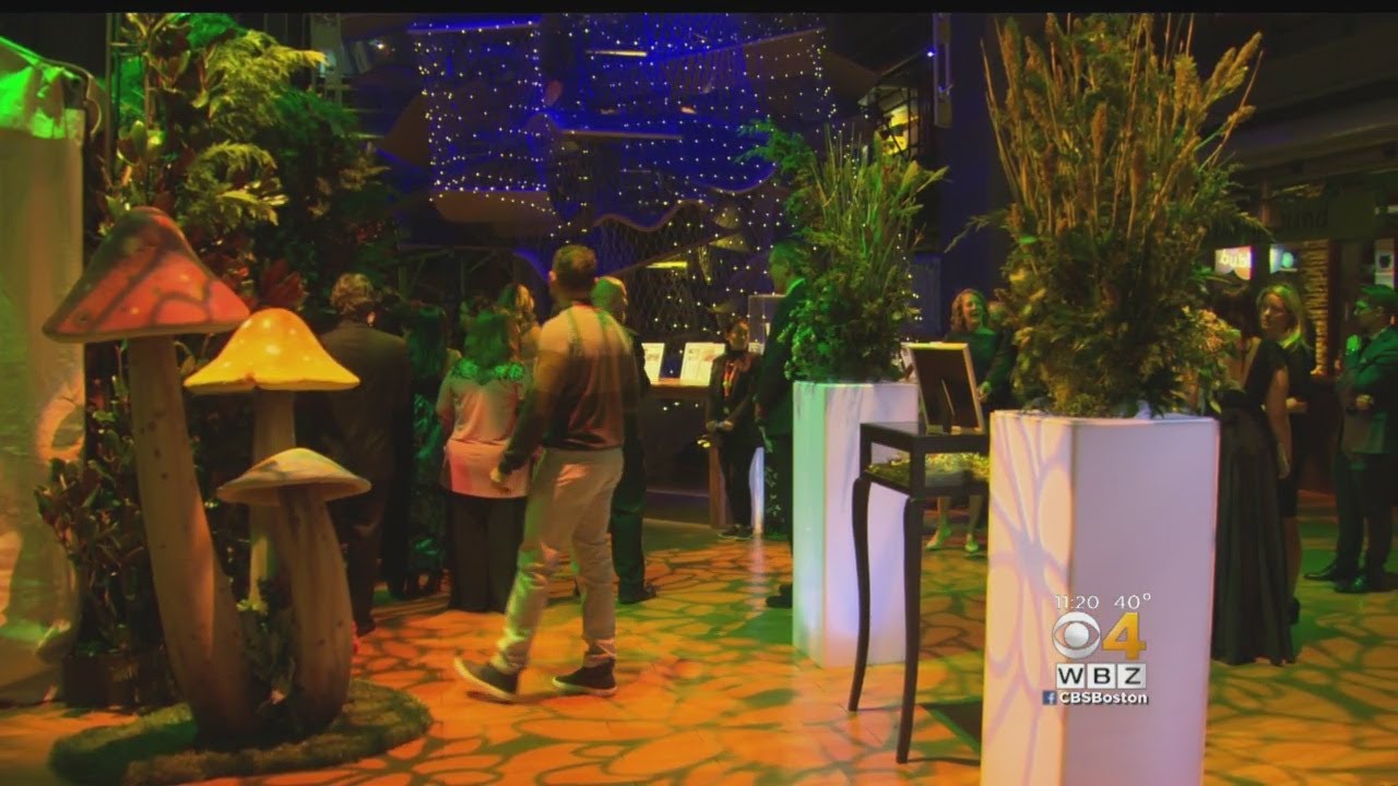 Boston Children's Museum Holds Annual 'Wonder Ball' - YouTube