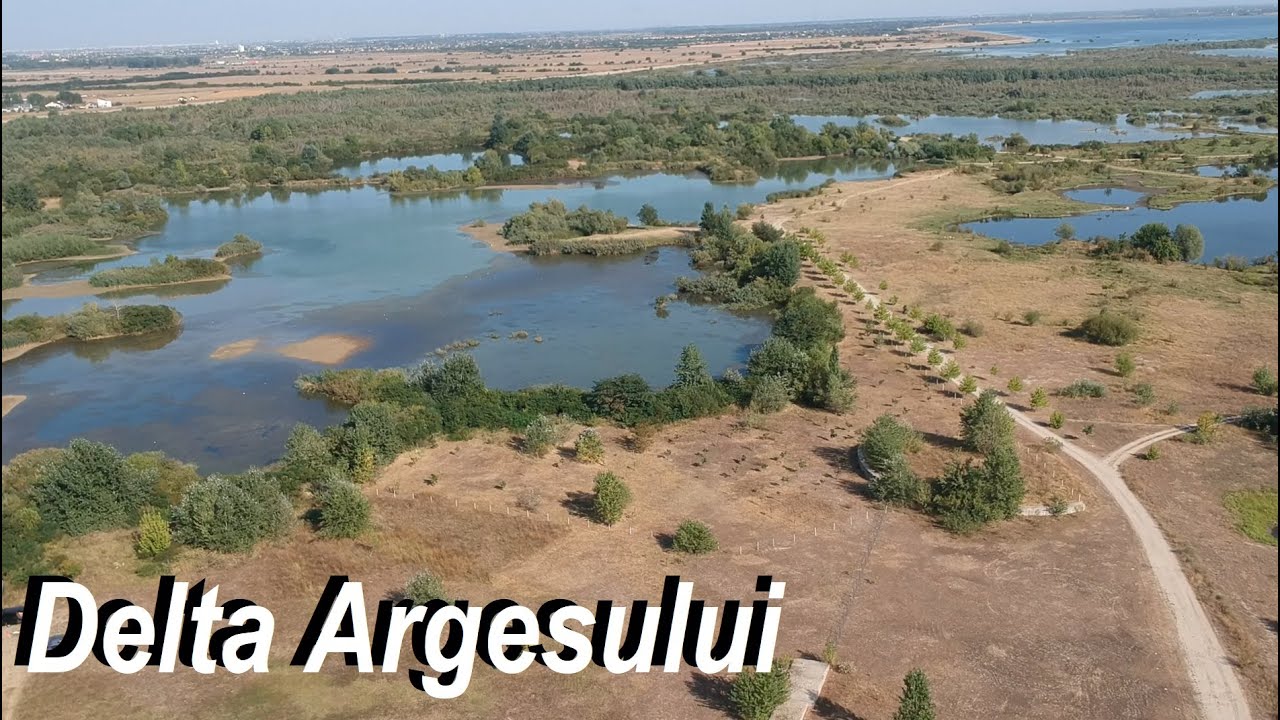 cu caiacul in Delta Argesului de la Posta - YouTube