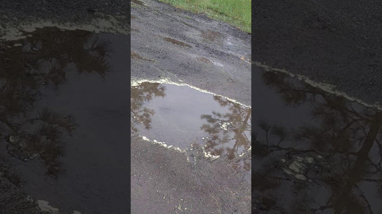 Strange pollen on puddle? - YouTube