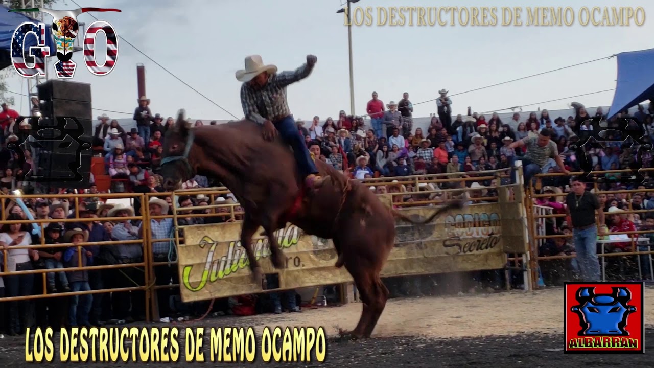 CHURRO DE COLIMA CON PUÑOS DE PLATINO EN INDAPARAPEO MICHOACAN - YouTube