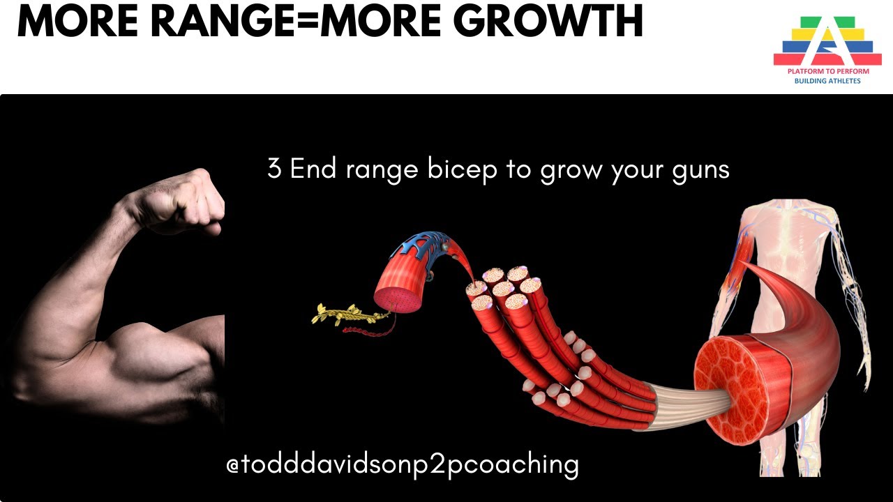 3 End Range Bicep Exercises-Ripped and Ready - YouTube