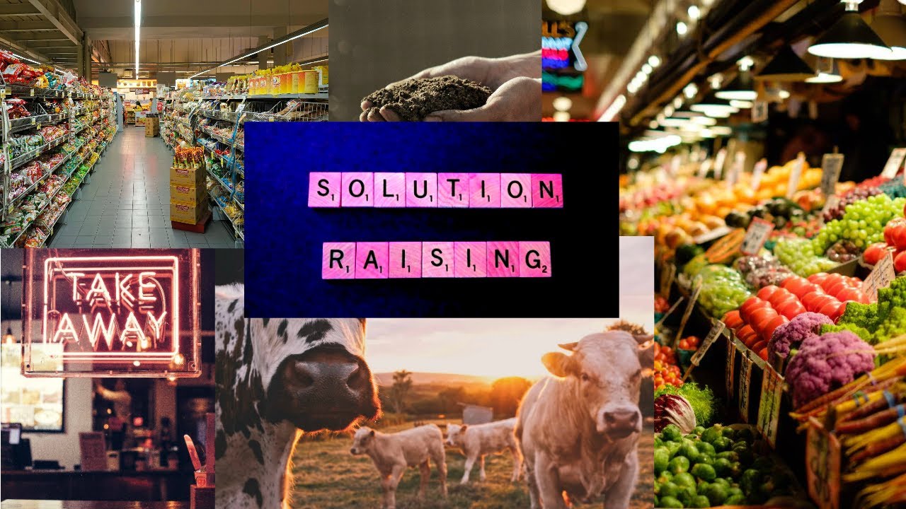Solution Raising: Food - YouTube