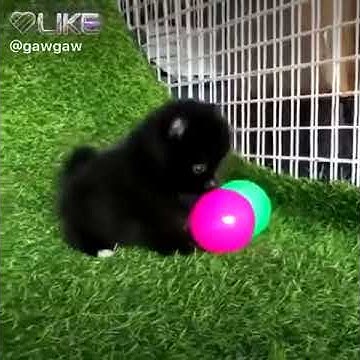 Милата(1) - YouTube
