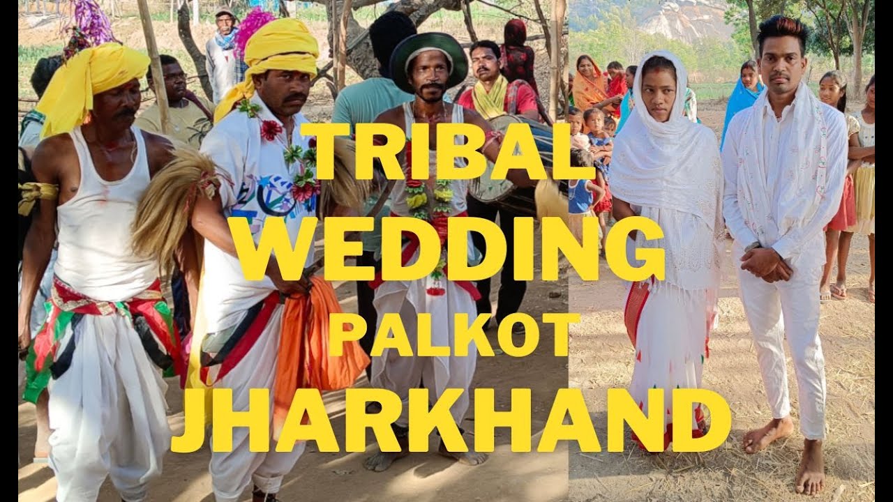 Kharia Tribal Wedding in Gonmer Village, Palkot, Jharkhand , खारिया ...
