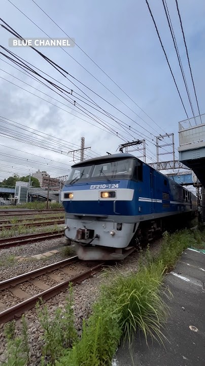 (貨物列車) 2024/09/25 2059レ EF210-124 + コキ20B カンガルーライナーSS60 (陸前山王〜吹田タ) #Shorts - YouTube