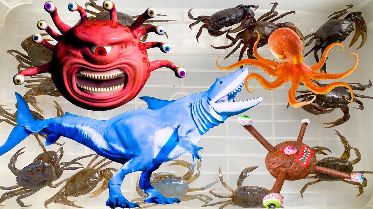 Kem Ốc Chanel cứu con cua, con cá, con gà, con chó con, bắt khủng long ...