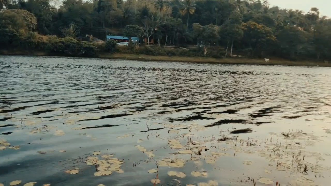 Poomala Dam ft.Parava - YouTube