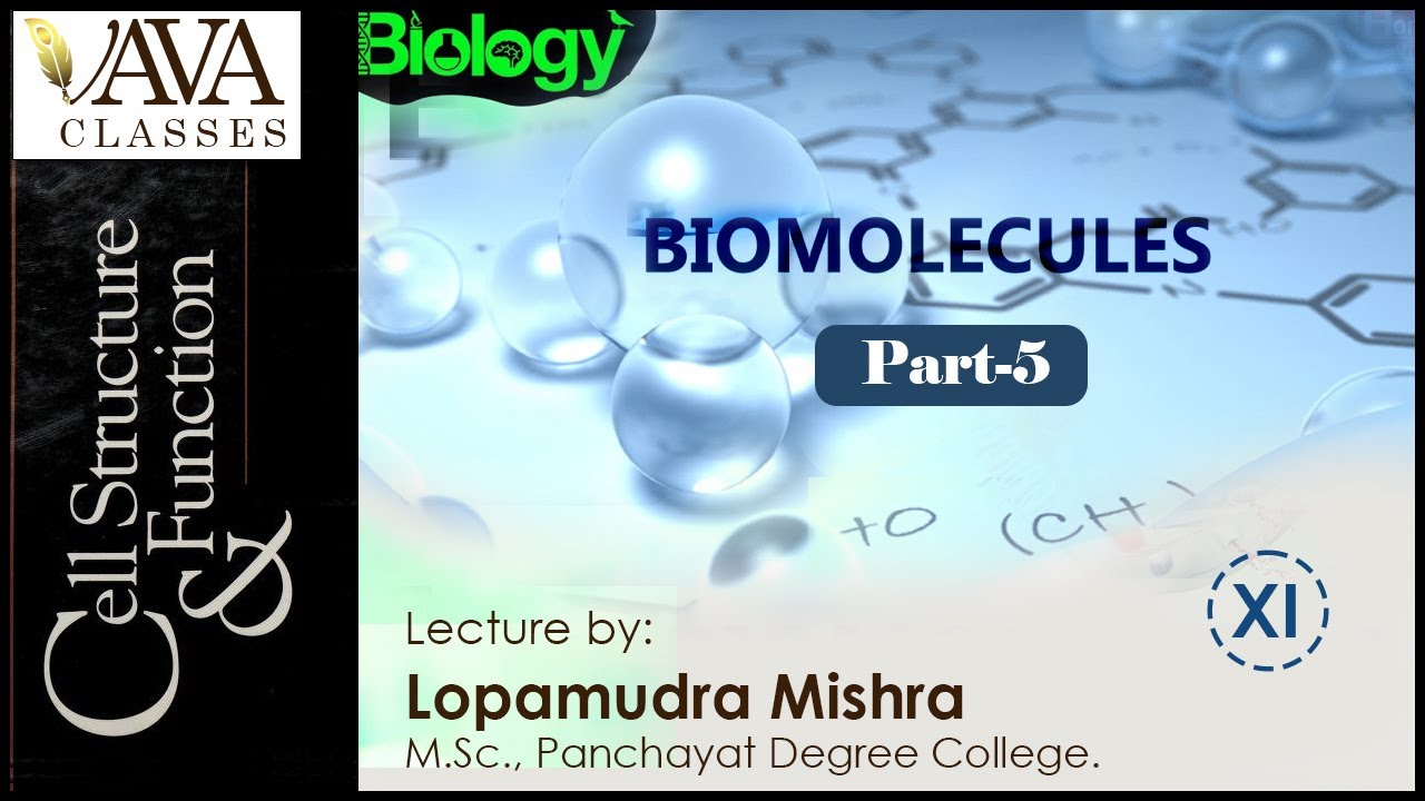 Biomolecules for NEET Success: Learn, Master, Conquer #VAVACLASSES - YouTube