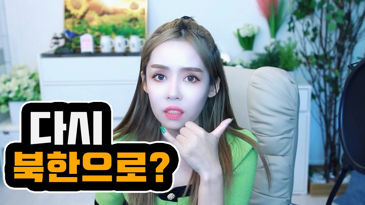 북한에서 왜 굳이 한국에 왔냐니 Youtube