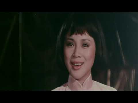 The Double Double Crosser (Taiwan 1977) aka Da jiang nan bei /with WANG YU /EASTERN TRAILER ENGLISCH
