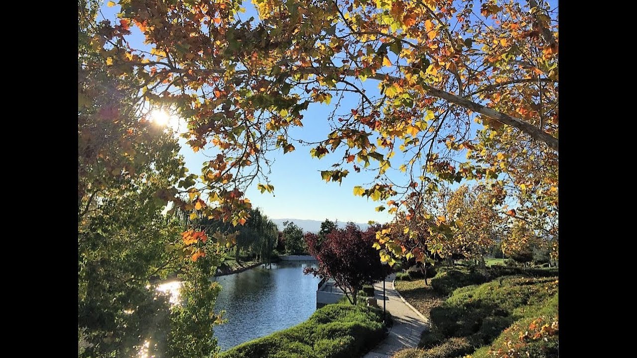 Autumn in Evergreen San Jose - Vào thu 2017 - YouTube