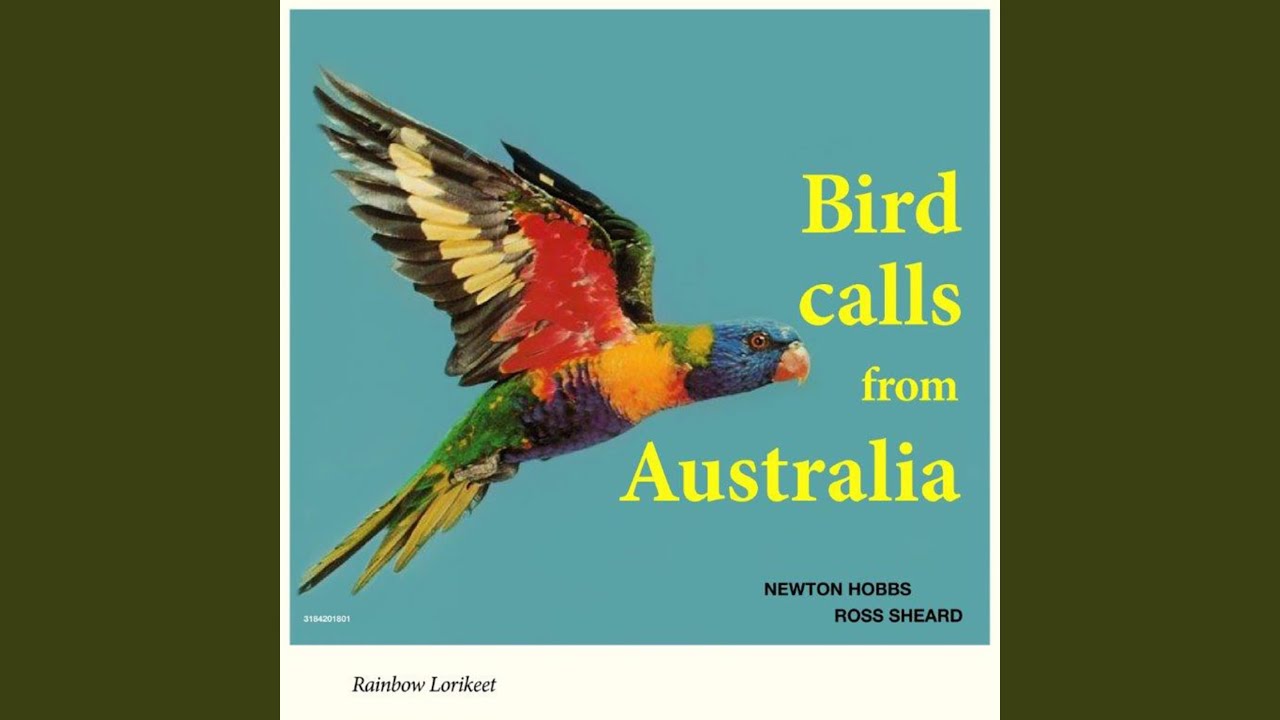 Prince Albert Lyrebird - YouTube Music