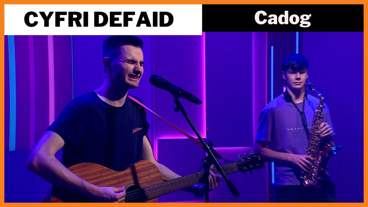 Cyfri Defaid- Cadog - YouTube