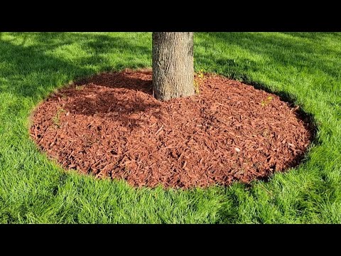 Live Edge Mulch Rings! - YouTube