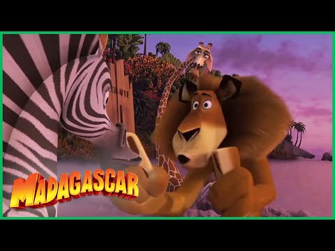 DreamWorks Madagascar em Português | Dividindo a Ilha | Desenhos Animados