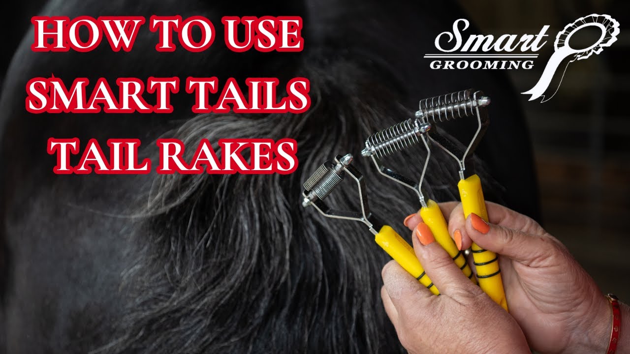 HOW TO USE A SMART TAILS TAIL RAKE - YouTube