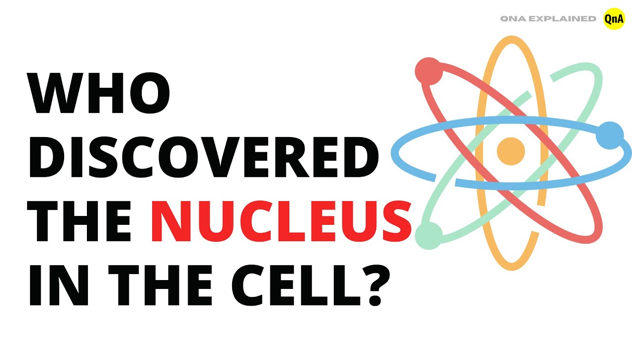 Who discovered the nucleus in the cell? - QnA Explained - YouTube