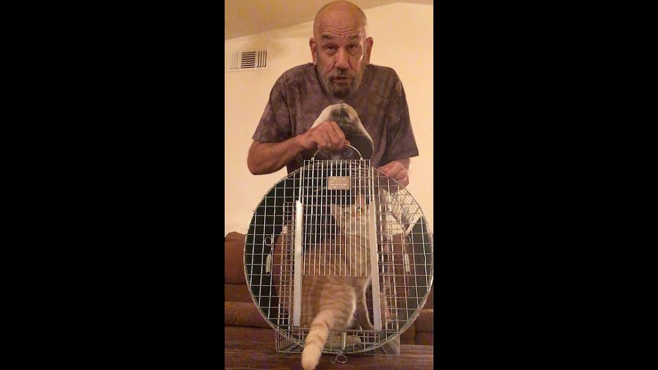 Tomahawk Humane Roundhouse Trap Review: "How to Catch a Trap" - YouTube