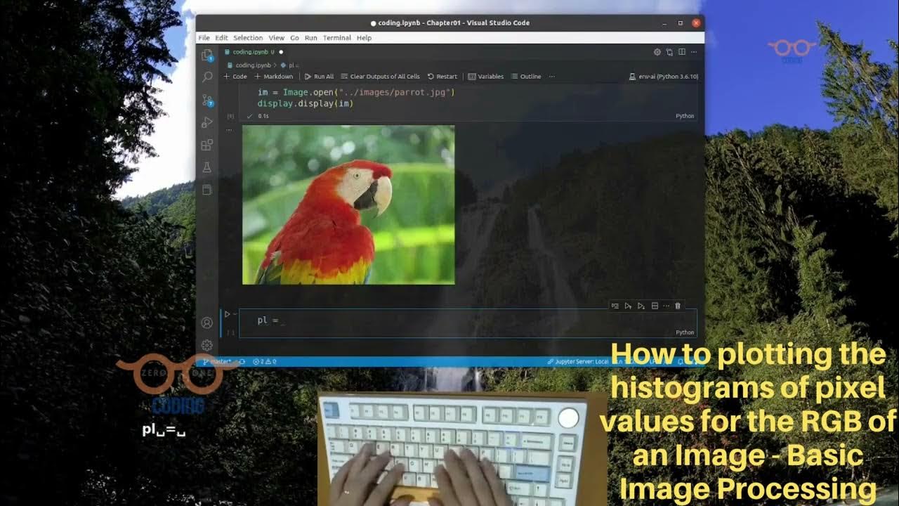 How to plottingh the histograms of pixel values for the RGB of an Image | Basic Image Processing ...