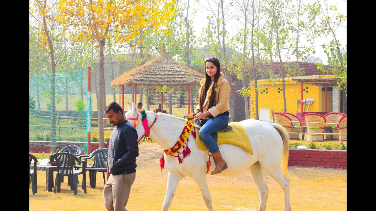 equestrian,Horse riding videos,horse riding training, zeeshan commando ...