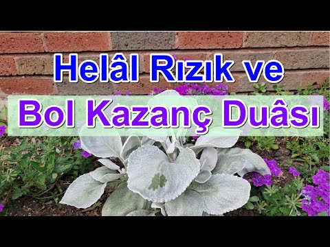 Helal Rızık ve Bol Kazanç Duası - Rabbim Nasr Sûresi hakkına bizi mağfiret eylesin! Amin!