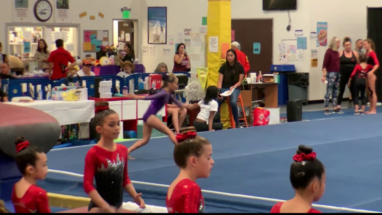 Level 5 Gymnastics - 2019 World Elite Cup - YouTube