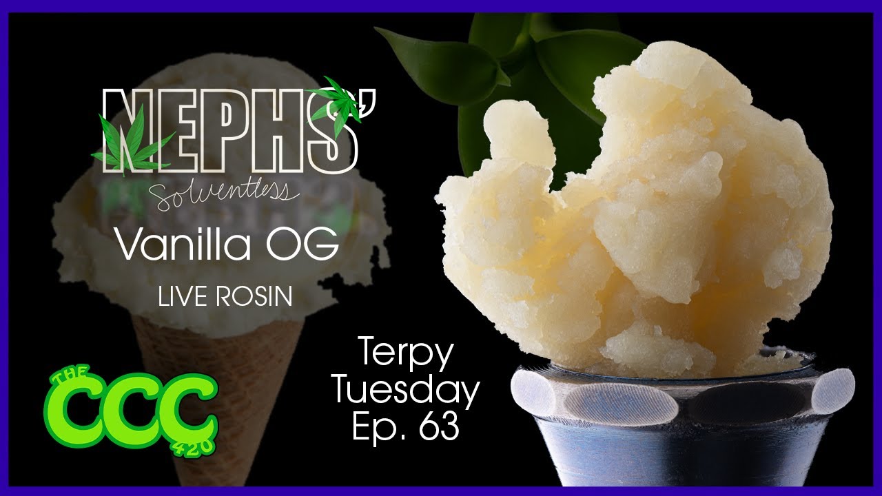 Terpy Tuesday Episode 63: Puffco Proxy & Neph's Solventless Vanilla OG ...