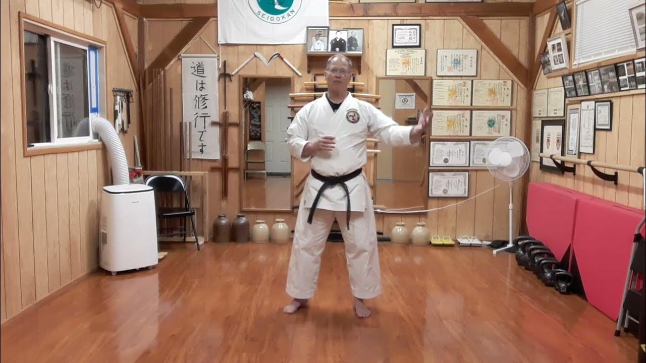 Seidokan Saturday 121, 6th kyu Green belt, Wansu - YouTube